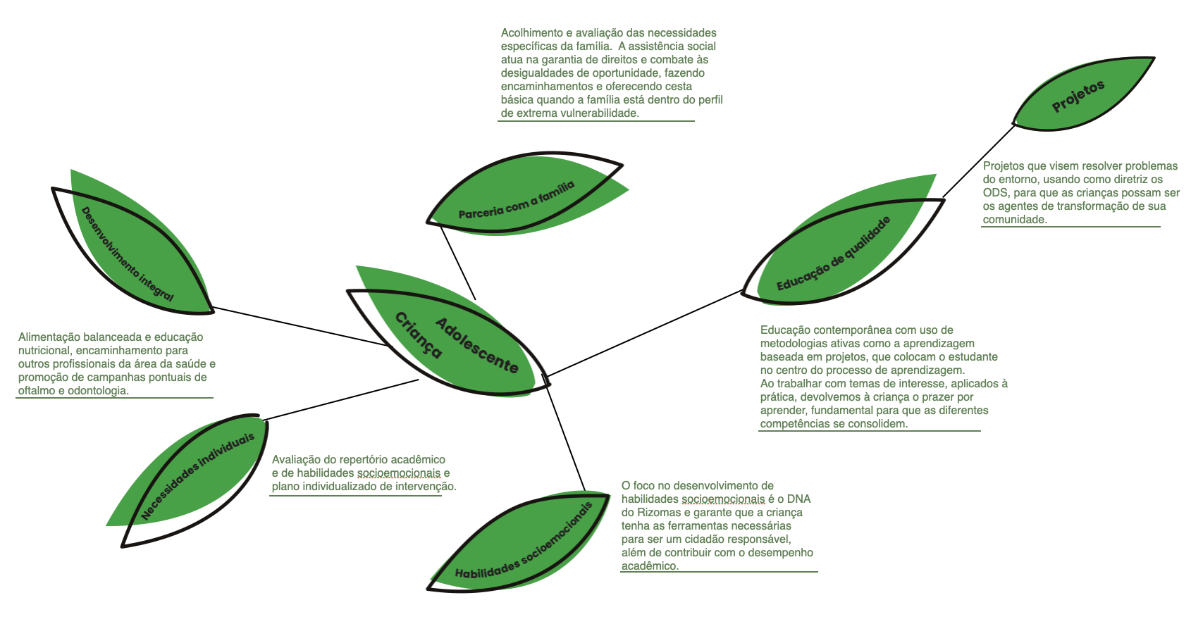 Programas - Instituto Rizomas